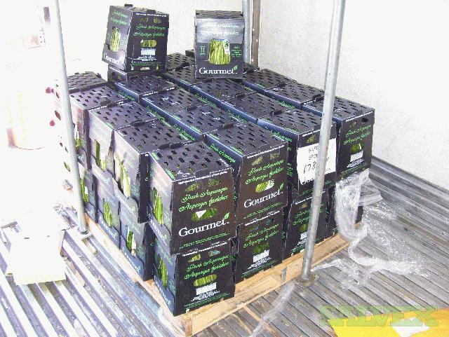 Asparagus, Standard Size | Salvex