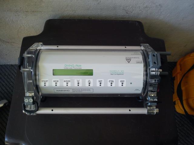 DIVING-PAM Underwater Fluorometer | Salvex