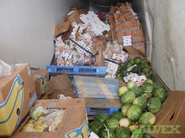 Mixed Produce Load (SHORT SALE) | Salvex
