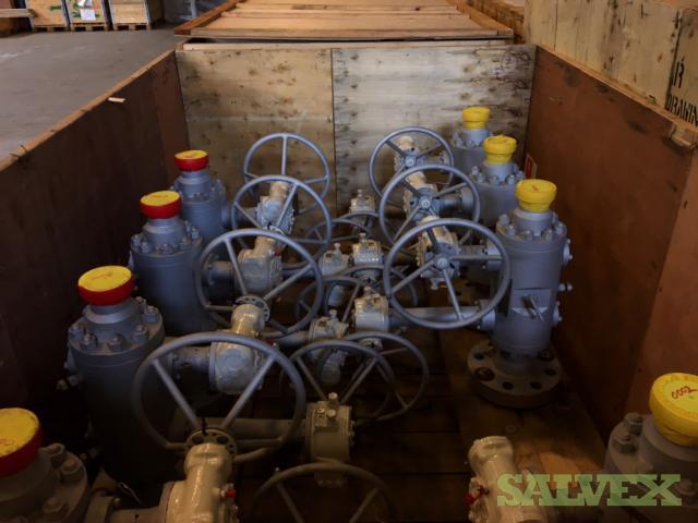 Assorted BFE (Bonney Forge) Valves (Injection Valves /Long Pattern DBB ...