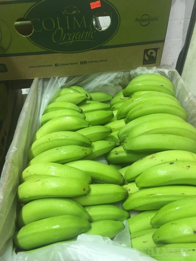 Coliman Organic Banana 16 Pallets / 768 Cases | Salvex