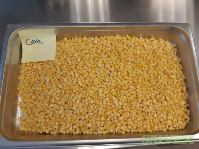 IQF Corn Kernels - Food Service Package (Frozen) | Salvex