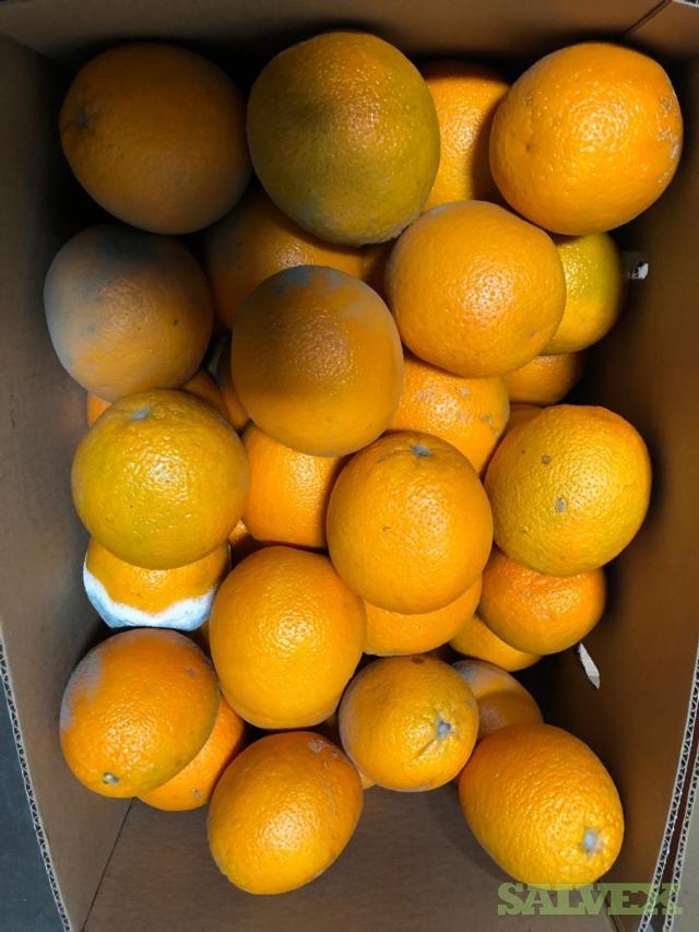 Fresh Valencia Oranges 2 Loads 2 160 Cases Salvex