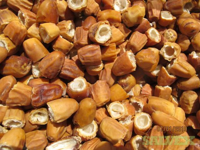 Frozen Dry Dates Kentichi | Salvex