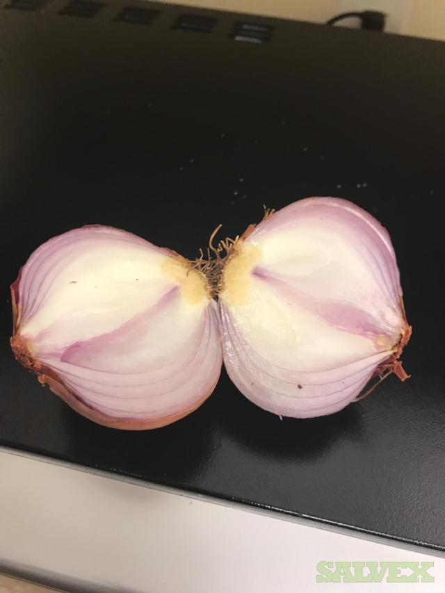 Red Onions Big Sizes - 89,300 Lbs | Salvex
