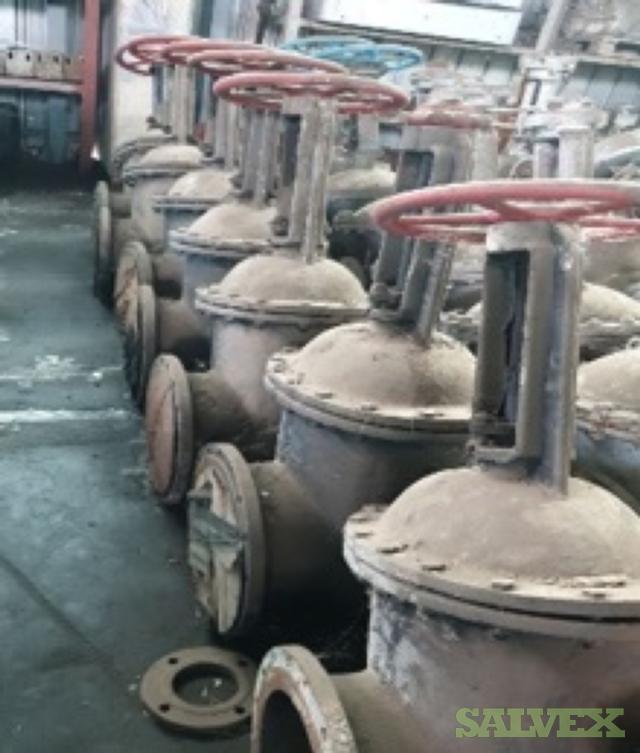 Angular Valves, Safety Valves, Gate Valves & More (883 Units) | Salvex