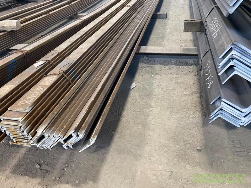 Bulb Plates | Salvex