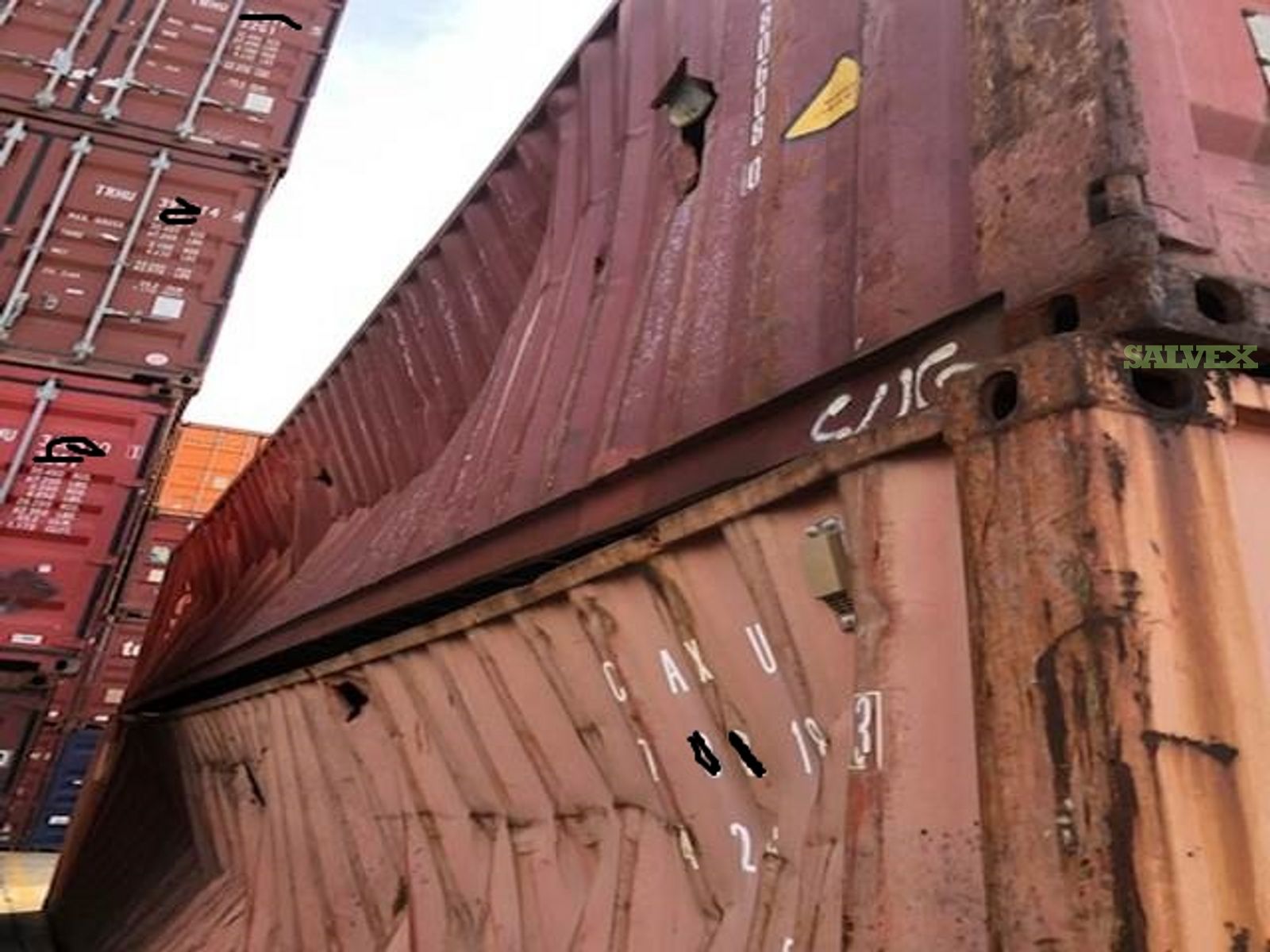 20'' & 40'' Containers - Damaged (7 Units) | Salvex