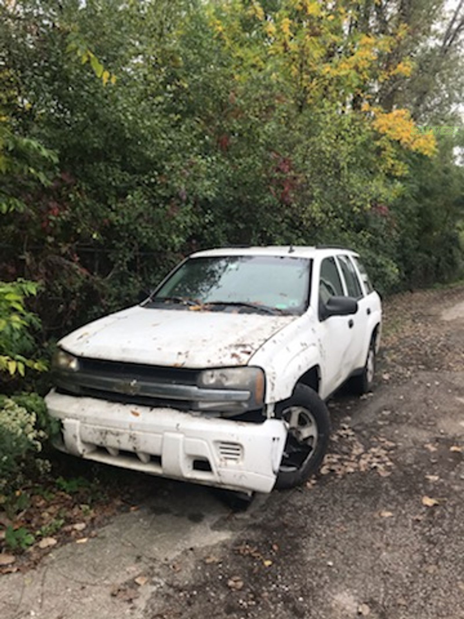 Chevrolet Trailblazer SUV 2006 | Salvex