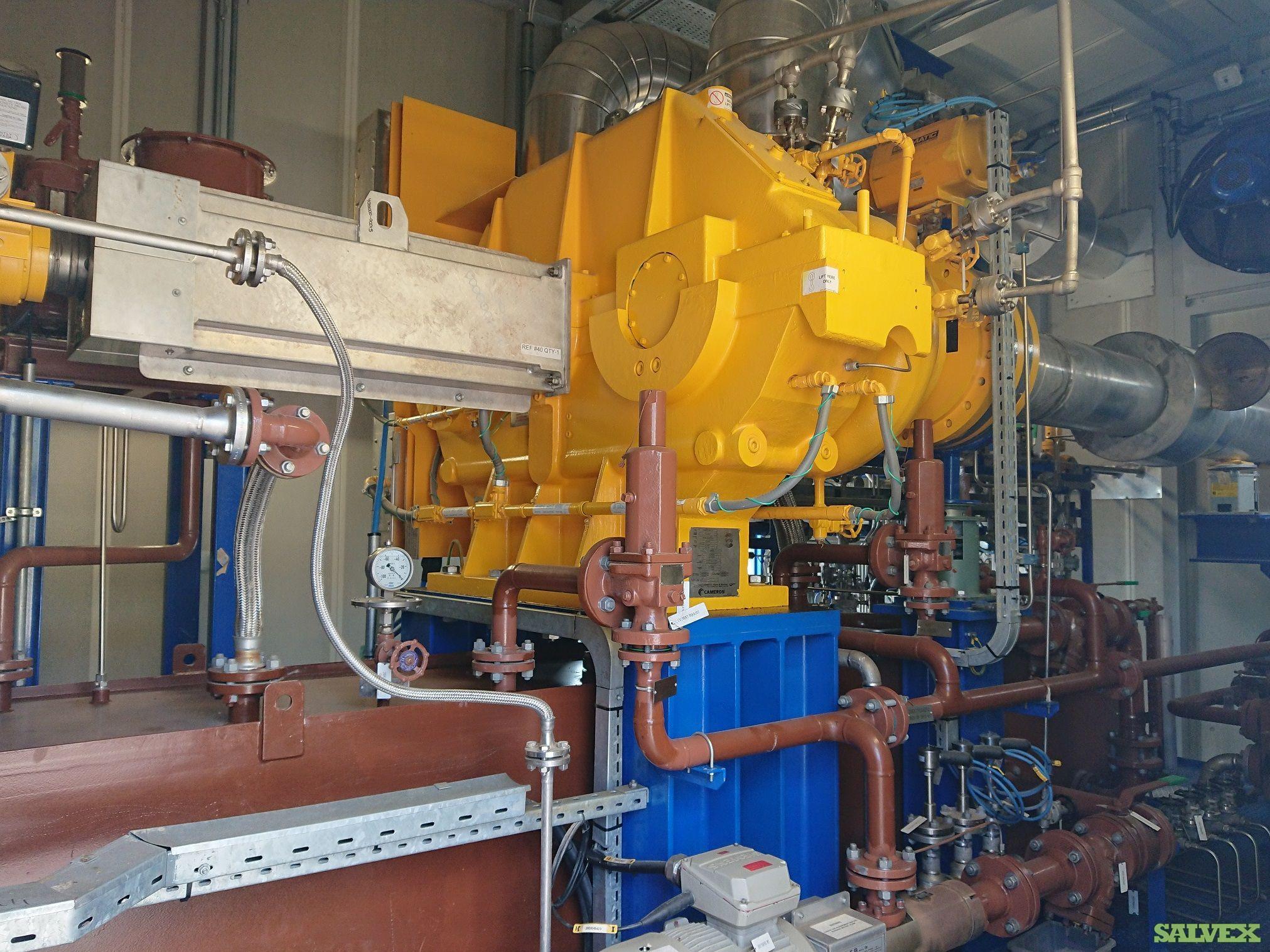 Cameron Compression Systems 2R2MSGPB-3BRCG/30 3250 KW (1 Unit) | Salvex