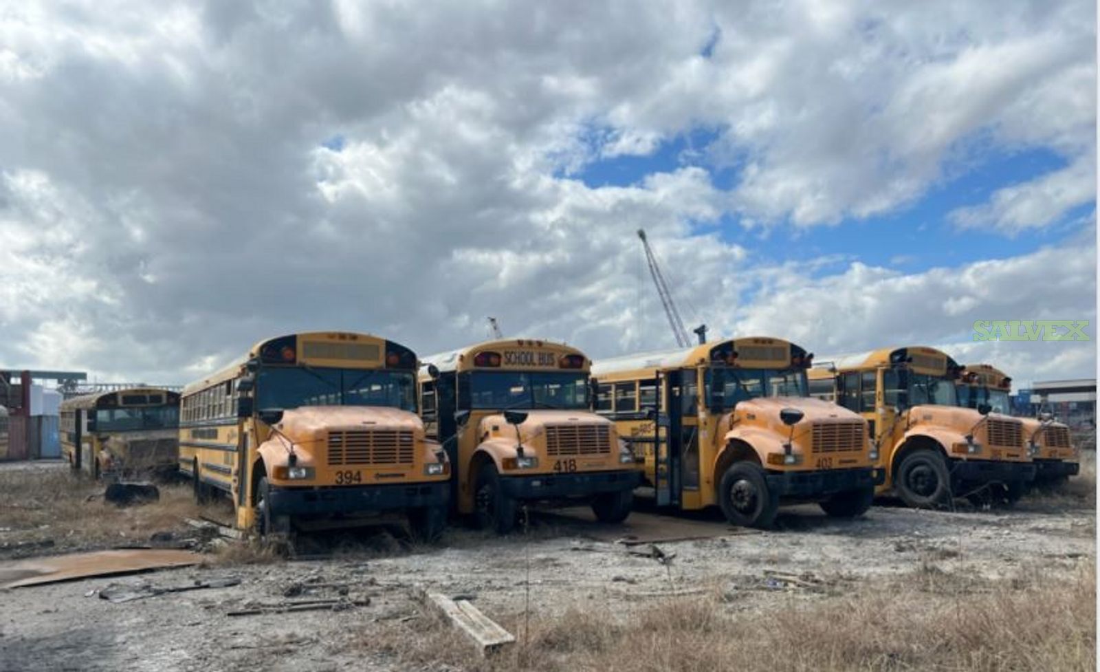 School Buses 7.40 Litter with Turbo Diesel Engines | Salvex