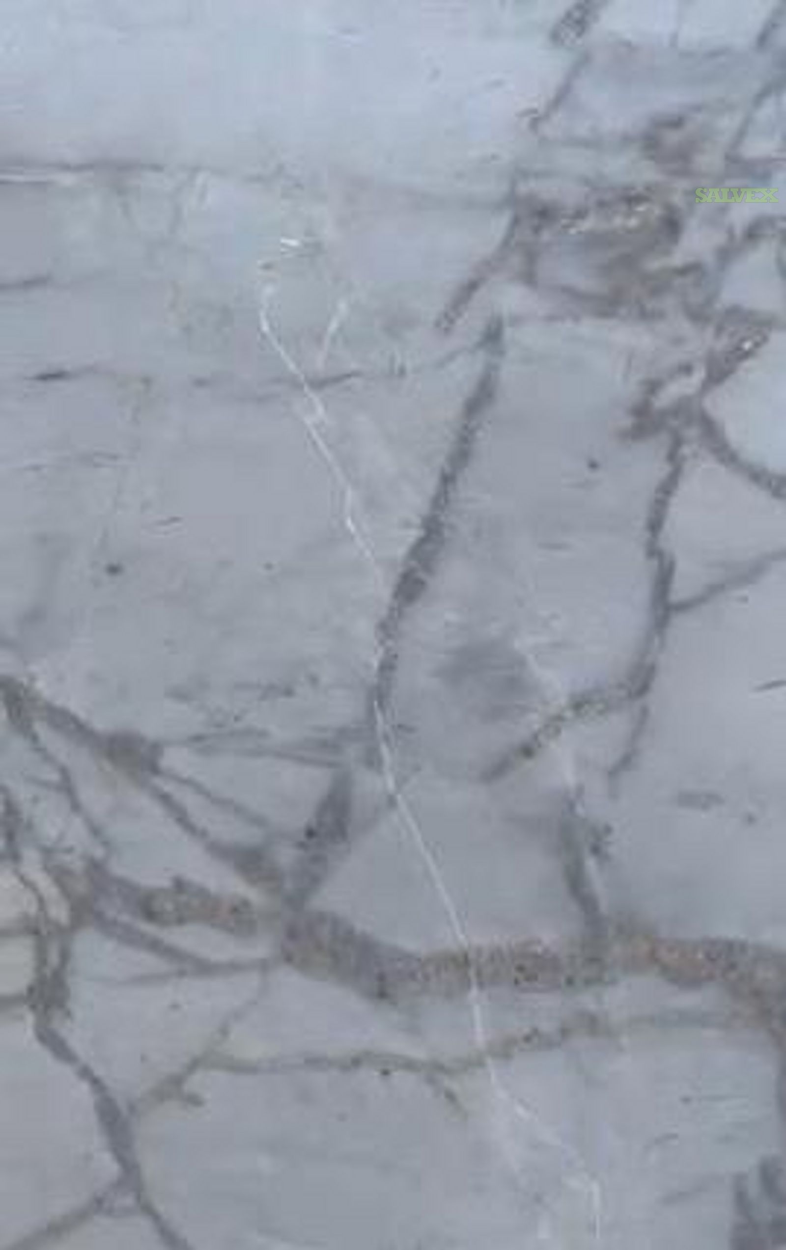 Marble Slabs (9 Units) | Salvex