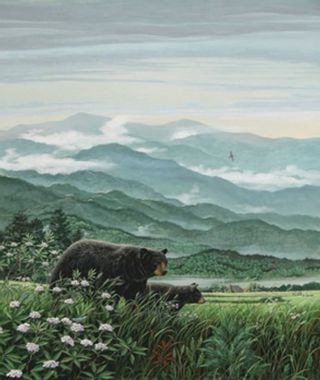 "Don Balke - Black Bear" Assort. Print Large 22''x28'' (775 Pcs) | Salvex