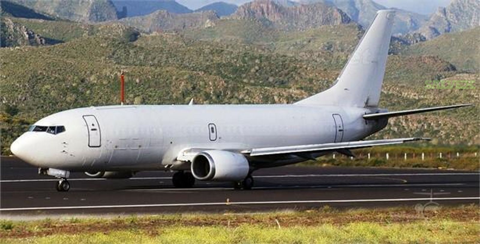 B737-300 Cargo Aircraft YOM 1987 (2 Units) | Salvex