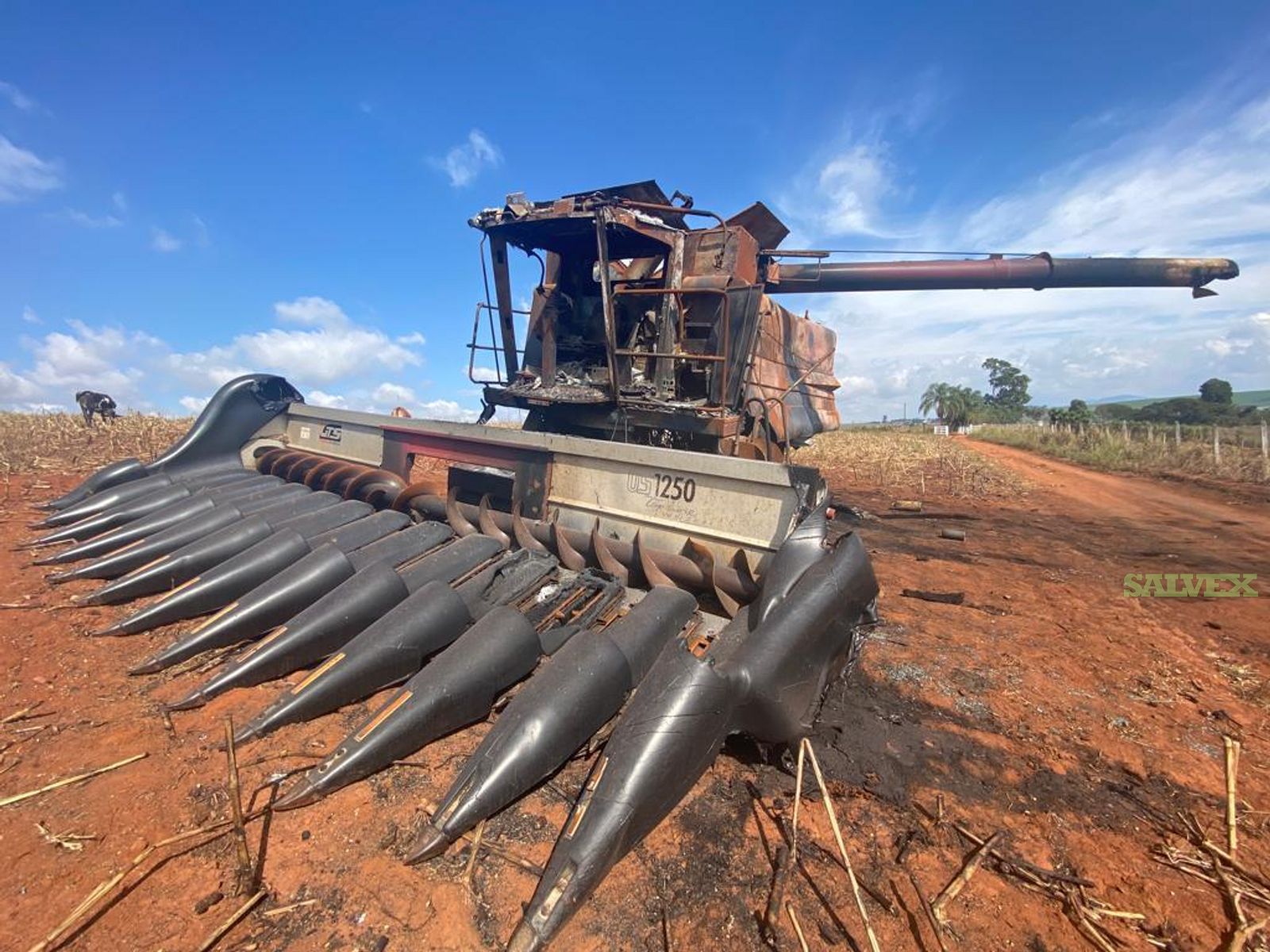 Case 2688 Grain Harvester (1 Unit) | Salvex